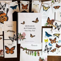 Anatomy of a Caterpillar - Monarch Butterfly Study - Printable Nature ...