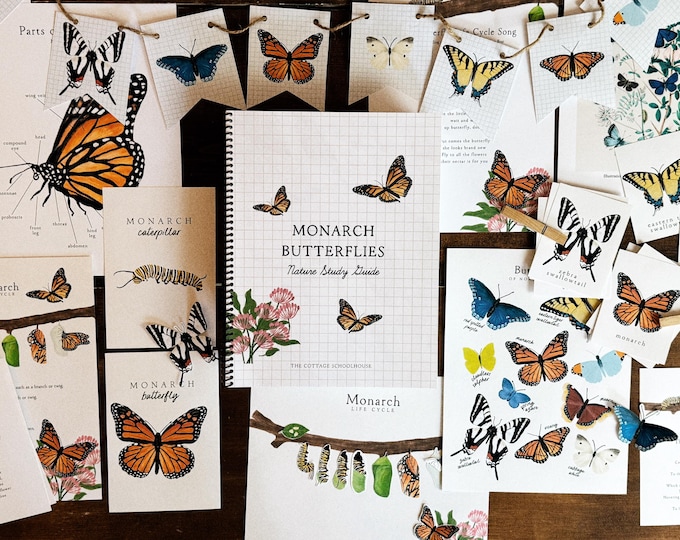 Monarch Butterfly Lifecycle Poster - Etsy