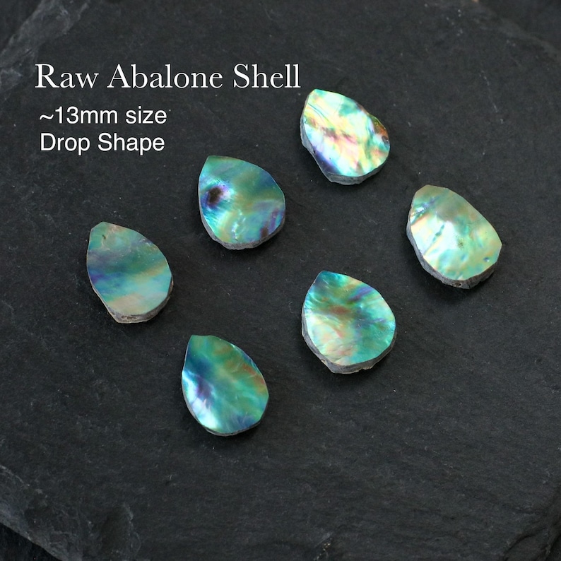 Raw Abalone Shell Necklace – Handmade Shell Pendant in Gold or Silver ...