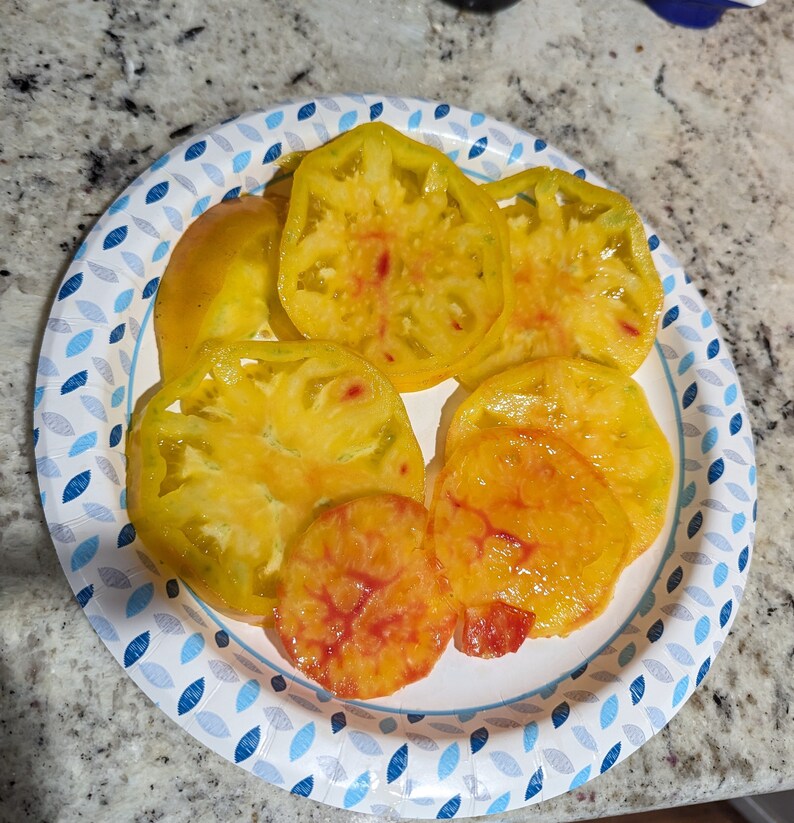 Heirloom Old German Tomato Seeds 20+ Seeds - Etsy