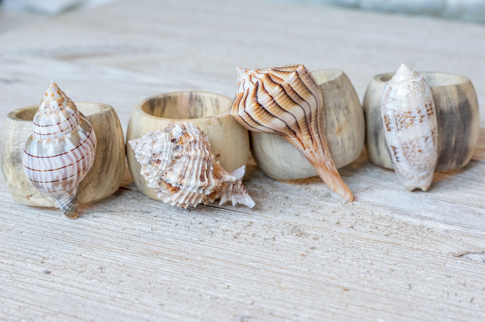 Beach Napkin Rings Shell Napkin Rings Beach Decor - Etsy