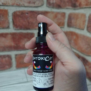 Catnip Spray Highly Potent All Natural With Pure Catnip 1 Oz Glass ...