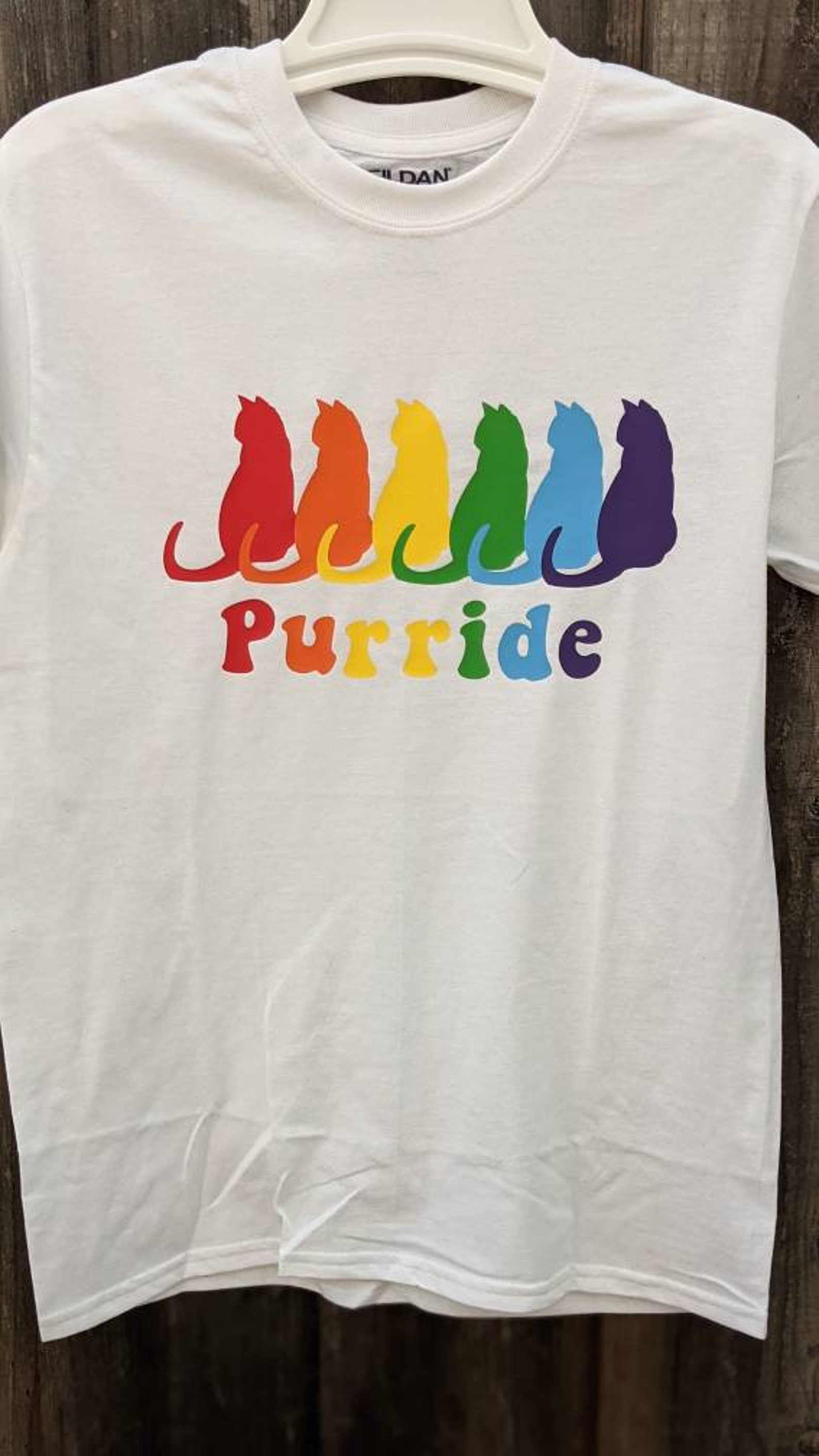 Pride cat tee rainbow kitty tshirt purride shirt unisex LGBTQ | Etsy