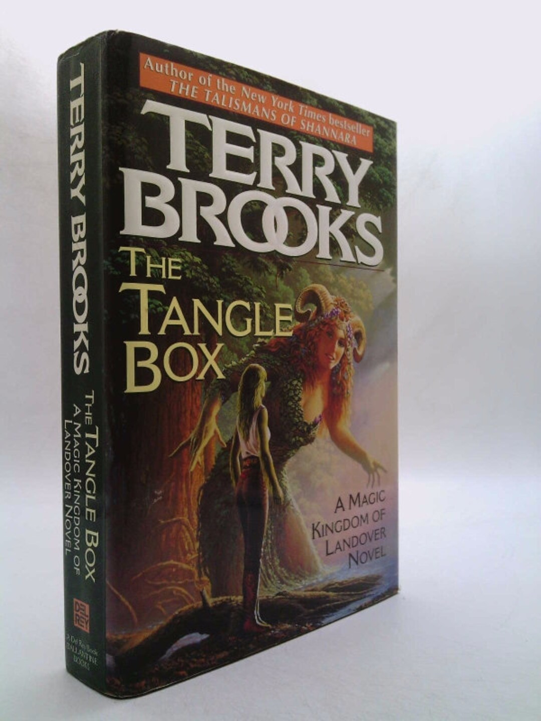 The Tangle Box by Terry Brooks - Etsy