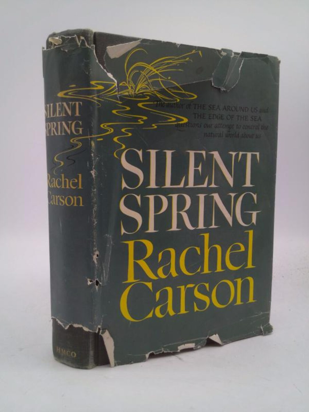 Silent Spring - Our Ravaged Environment and the Man-made Pollution by ...