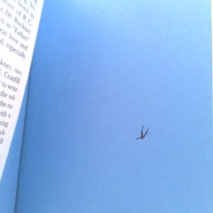 R.C. Buckner's Life of Faith and Works: Comprising the Story of the ...