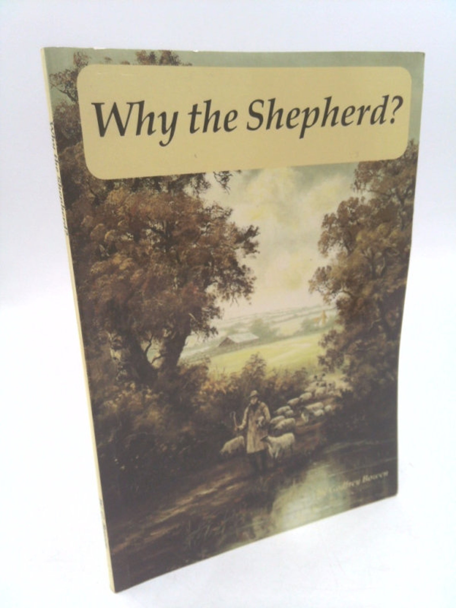 Why! the Shepherd by Walter Godfrey. Bowen - Etsy