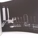 Fair Flashes: Photographs of a Century of Progress by Guy - Etsy
