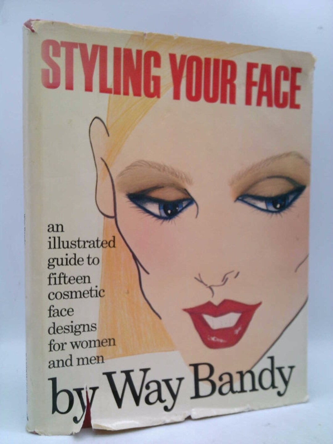 Styling Your Face: an Illustrated Guide to Fifteen Cosmetic Face ...