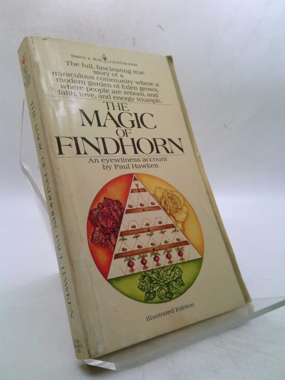 The Magic of Findhorn (A Bantam Book) by Paul Hawken - Etsy