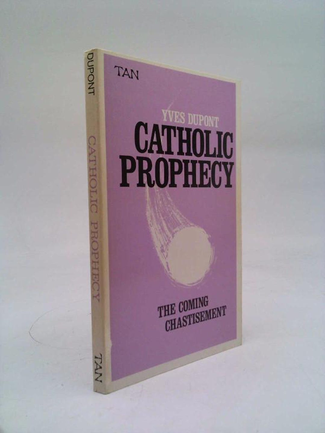 Catholic Prophecy: the Coming Chastisement by Yves Dupont - Etsy
