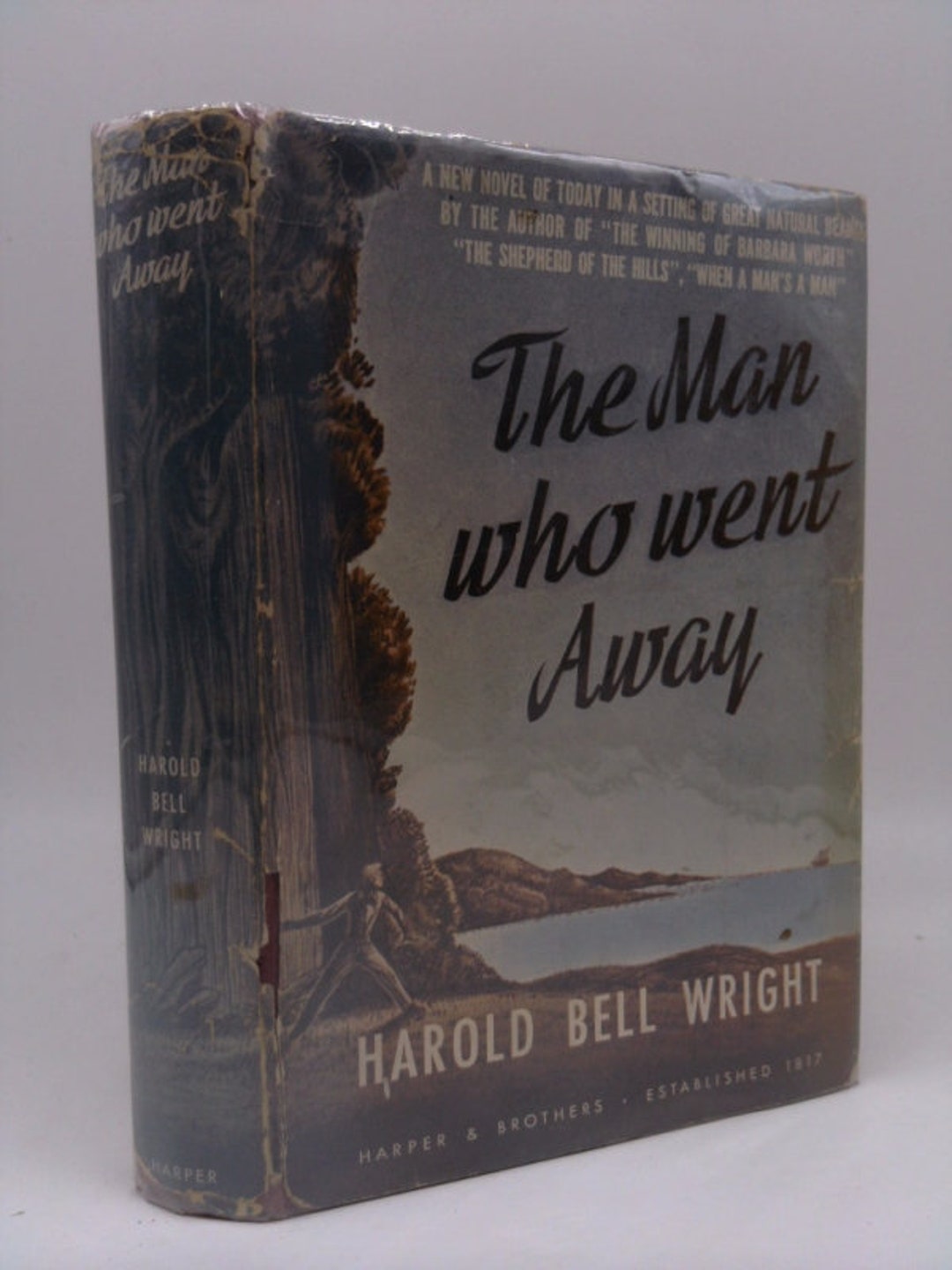 The Man Who Went Away, by Harold Bell Wright - Etsy