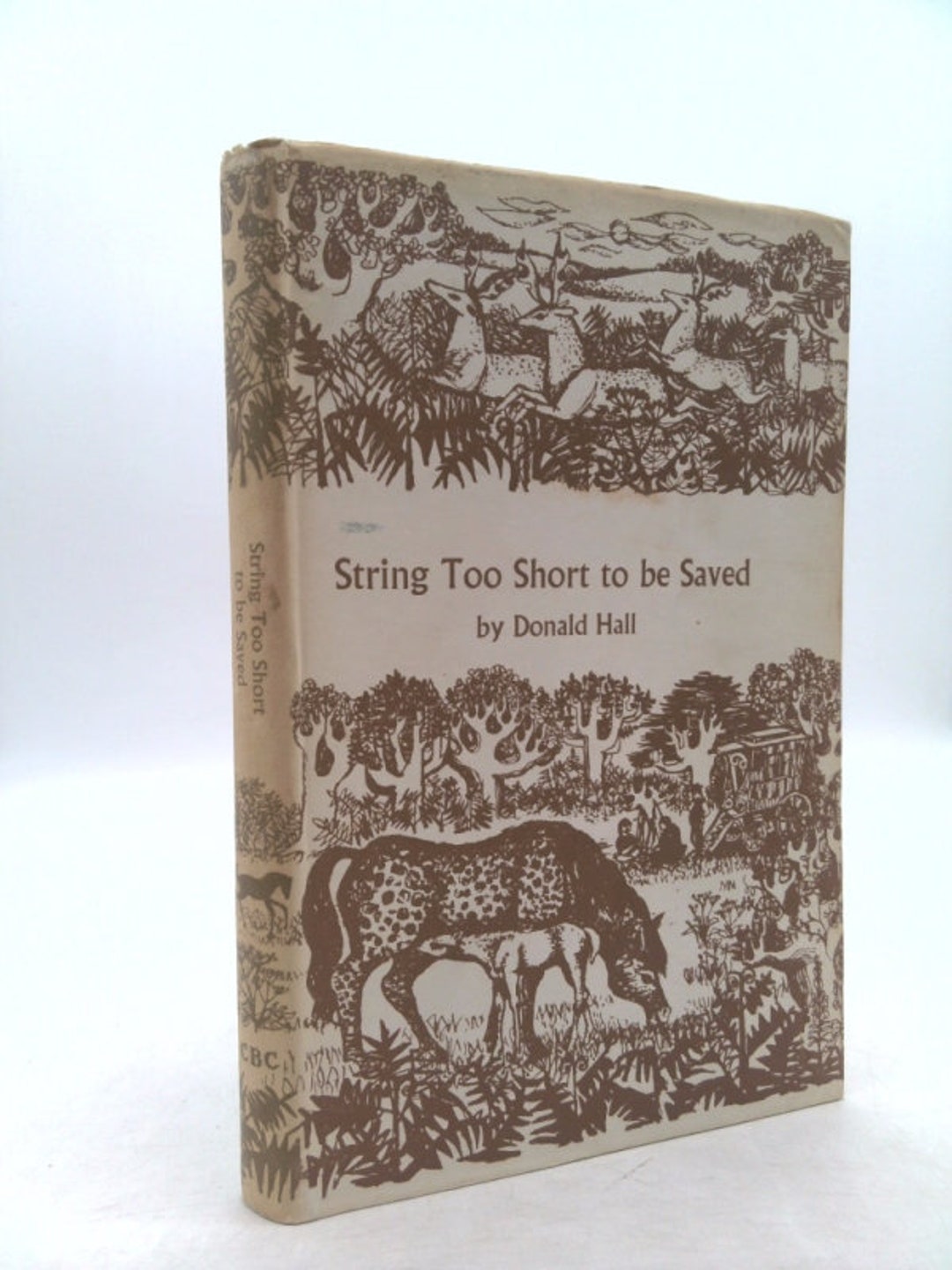 String Too Short to Be Saved by Donald Hill - Etsy