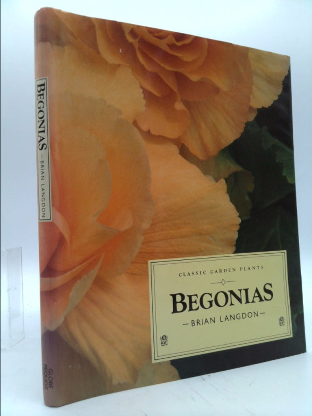 Begonias by Brian Langdon - Etsy