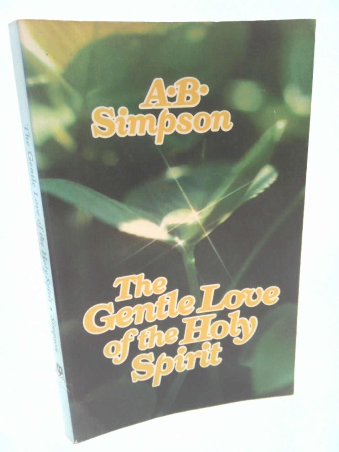 Gentle Love of the Holy Spirit: (an Updated and Edited Version of the ...