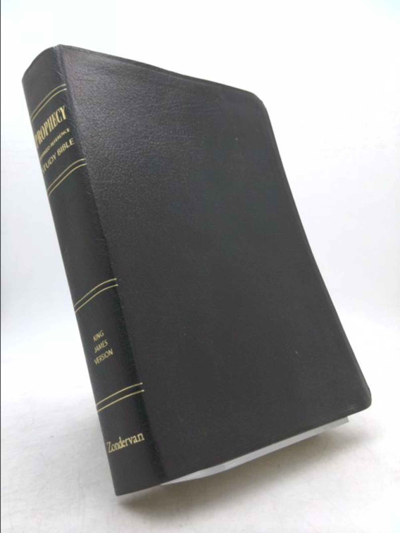 Prophecy Marked Reference Study Bible by Prophecy Study - Etsy