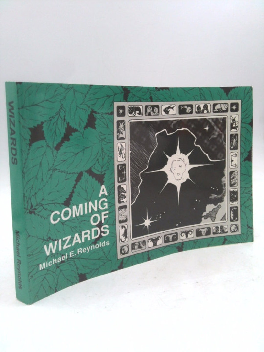 A Coming of Wizards by Michael Reynolds - Etsy