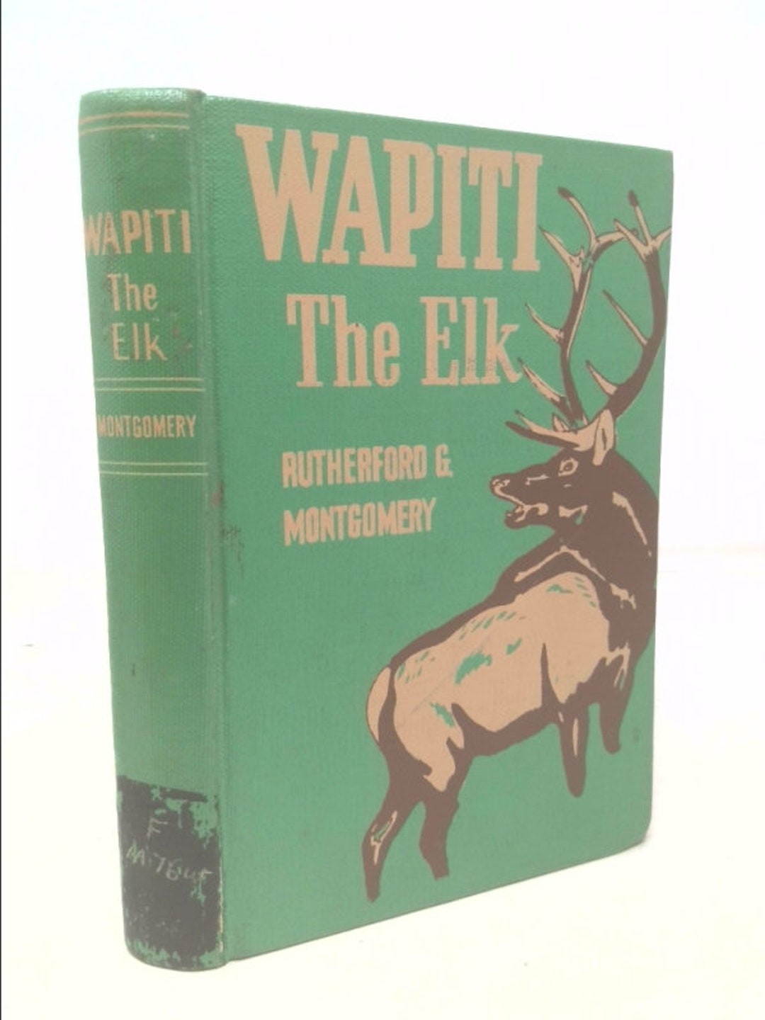 Wapiti the Elk by Rutherford Montgomery - Etsy