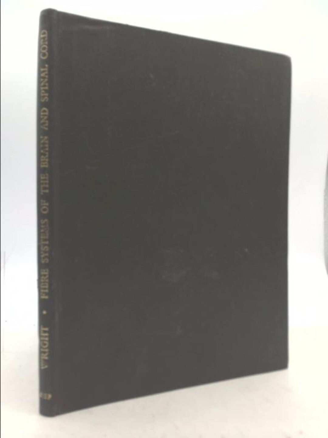 Fibre Systems of the Brain and Spinal Cord by Michael Kent Wright - Etsy