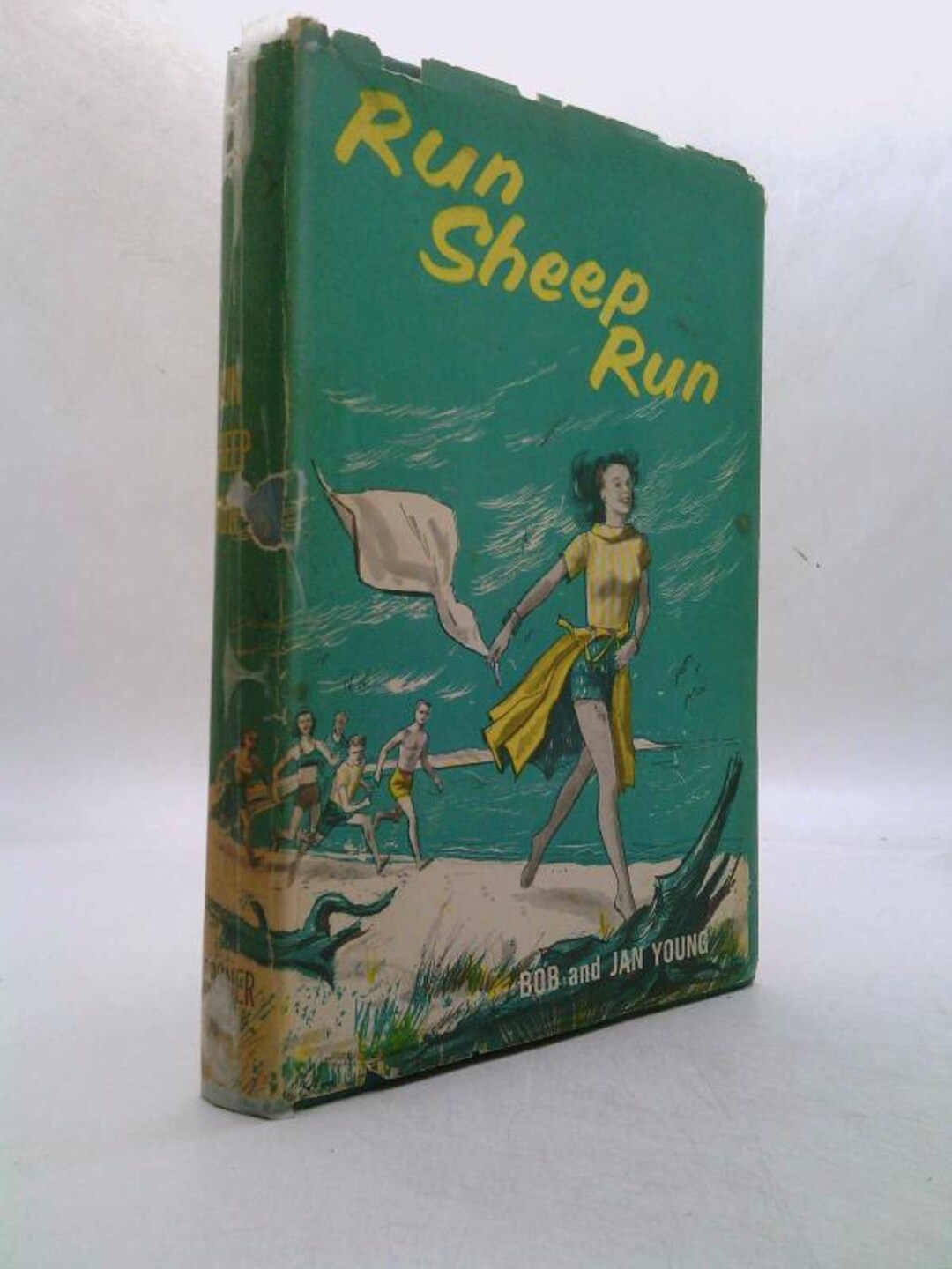Run Sheep, Run by Bob Young - Etsy