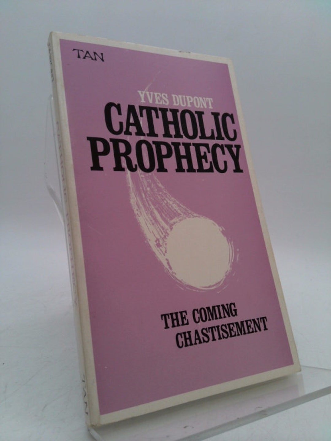 Catholic Prophecy: the Coming Chastisement by Yves Dupont - Etsy