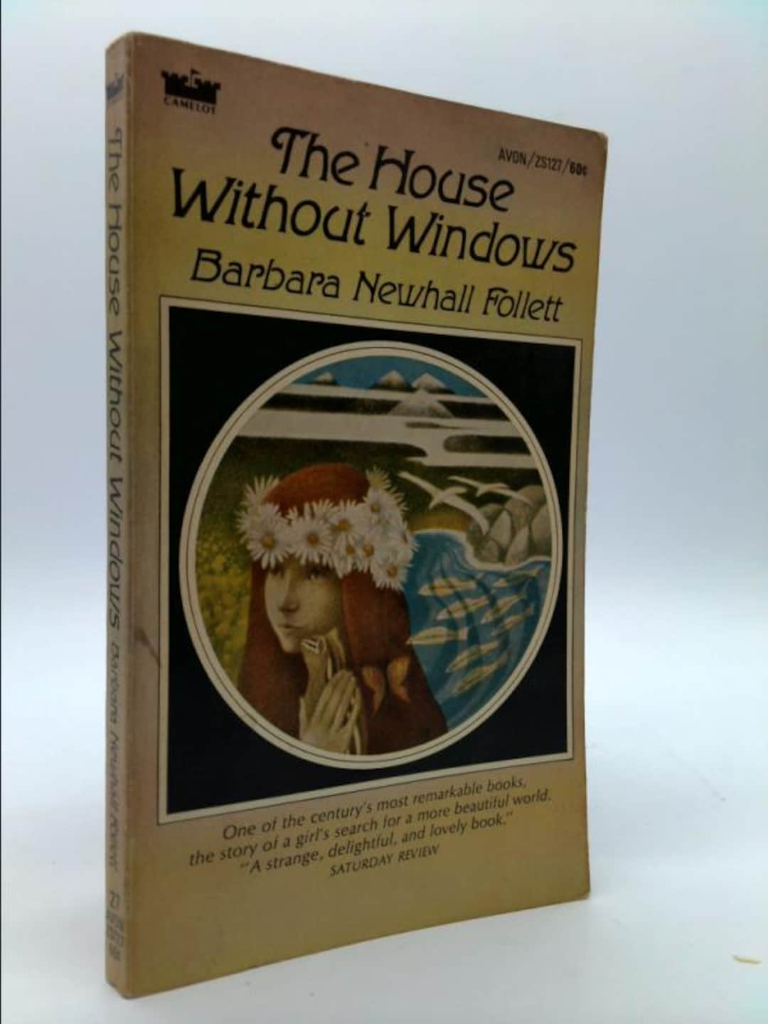 The House Without Windows by Barbara Newhall Follett - Etsy