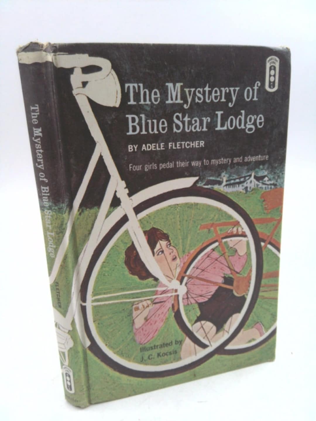 Mystery of Blue Star Lodge (signal Book) by Adele Fletcher - Etsy