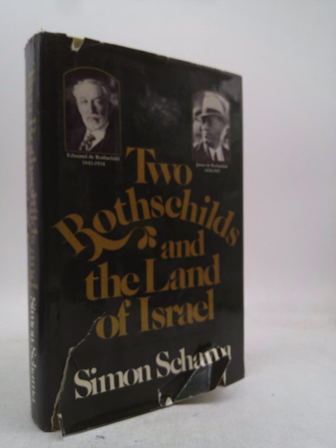 Two Rothschilds and the Land of Israel by Simon Schama - Etsy
