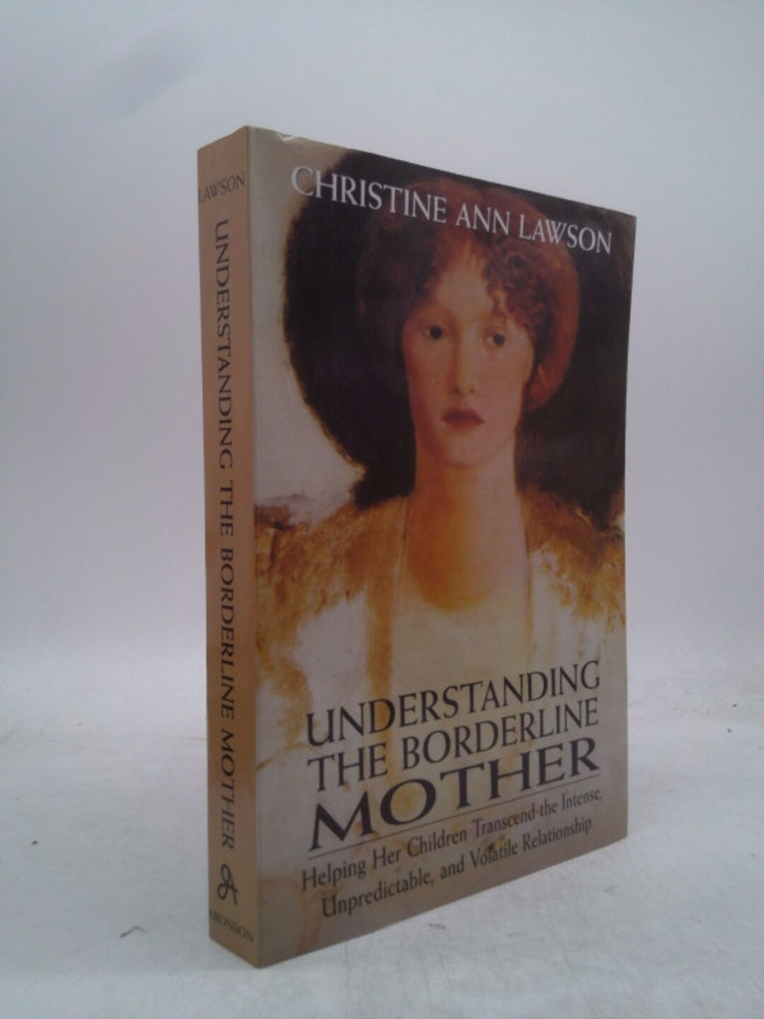Understanding the Borderline Mother: Helping Her Children Transcend the ...