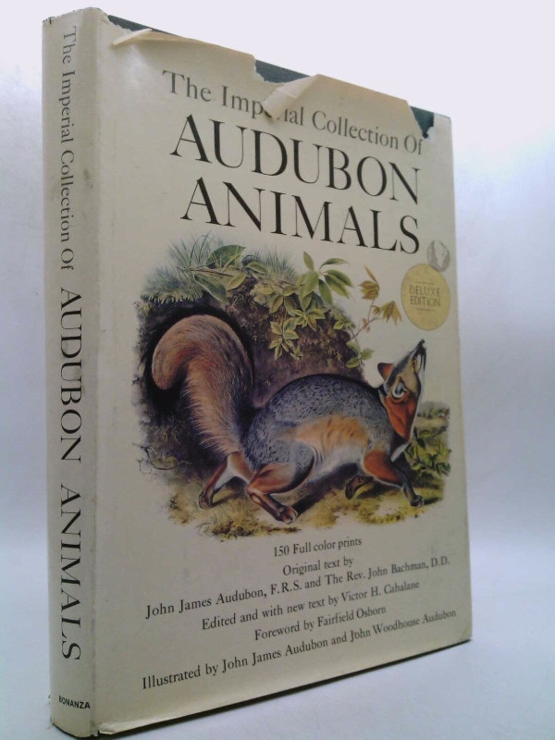 The Imperial Collection of Audubon Animals the Quadrupeds of North ...