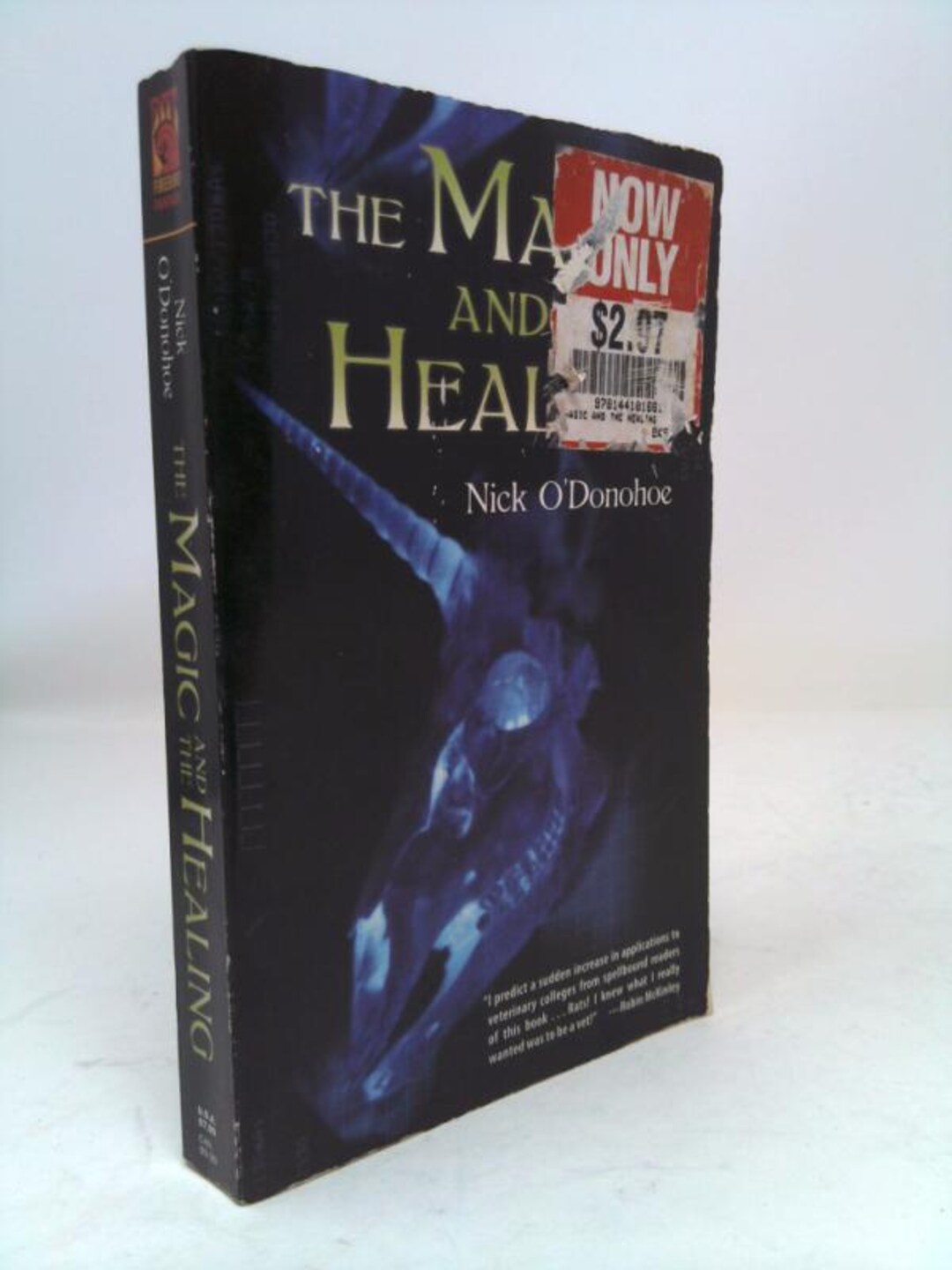 The Magic and the Healing by Nick O'donohoe - Etsy