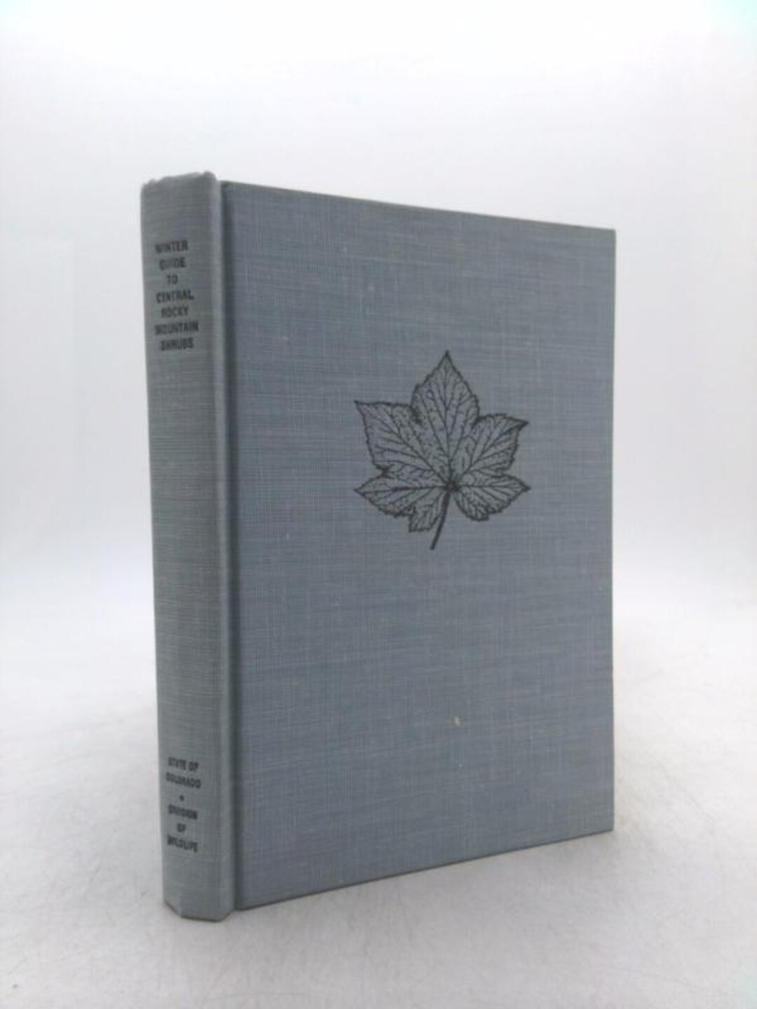 Winter Guide to Central Rocky Mountain Shrubs (with Summer Key) by ...