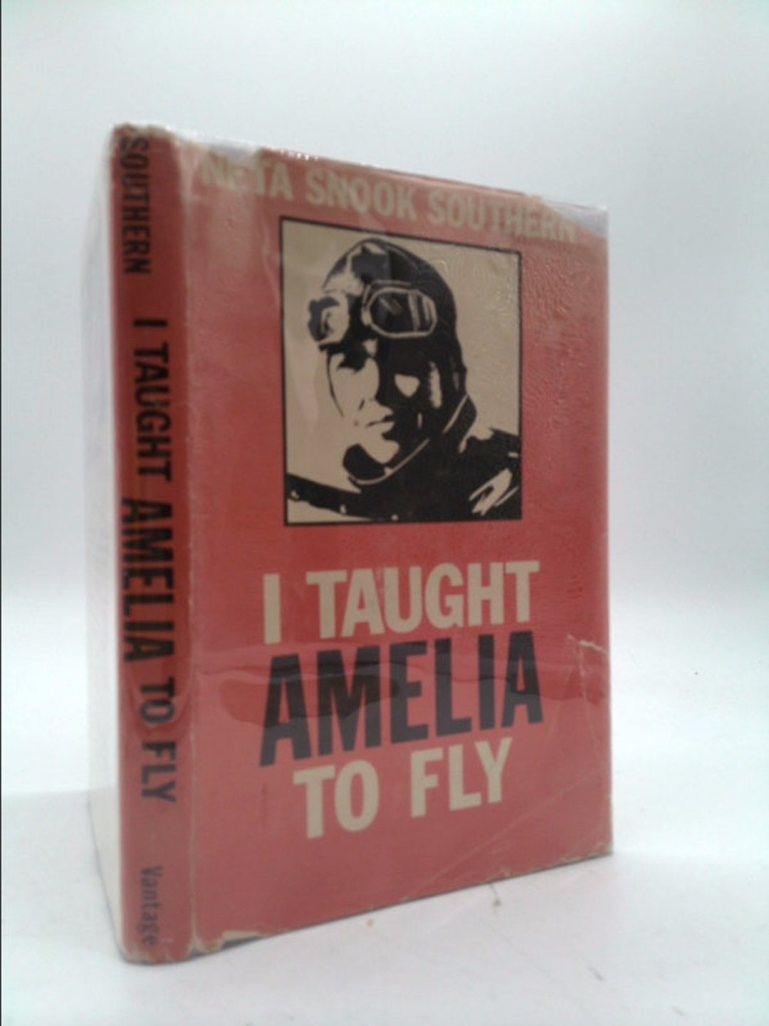 I Taught Amelia to Fly by Neta Snook Southern - Etsy
