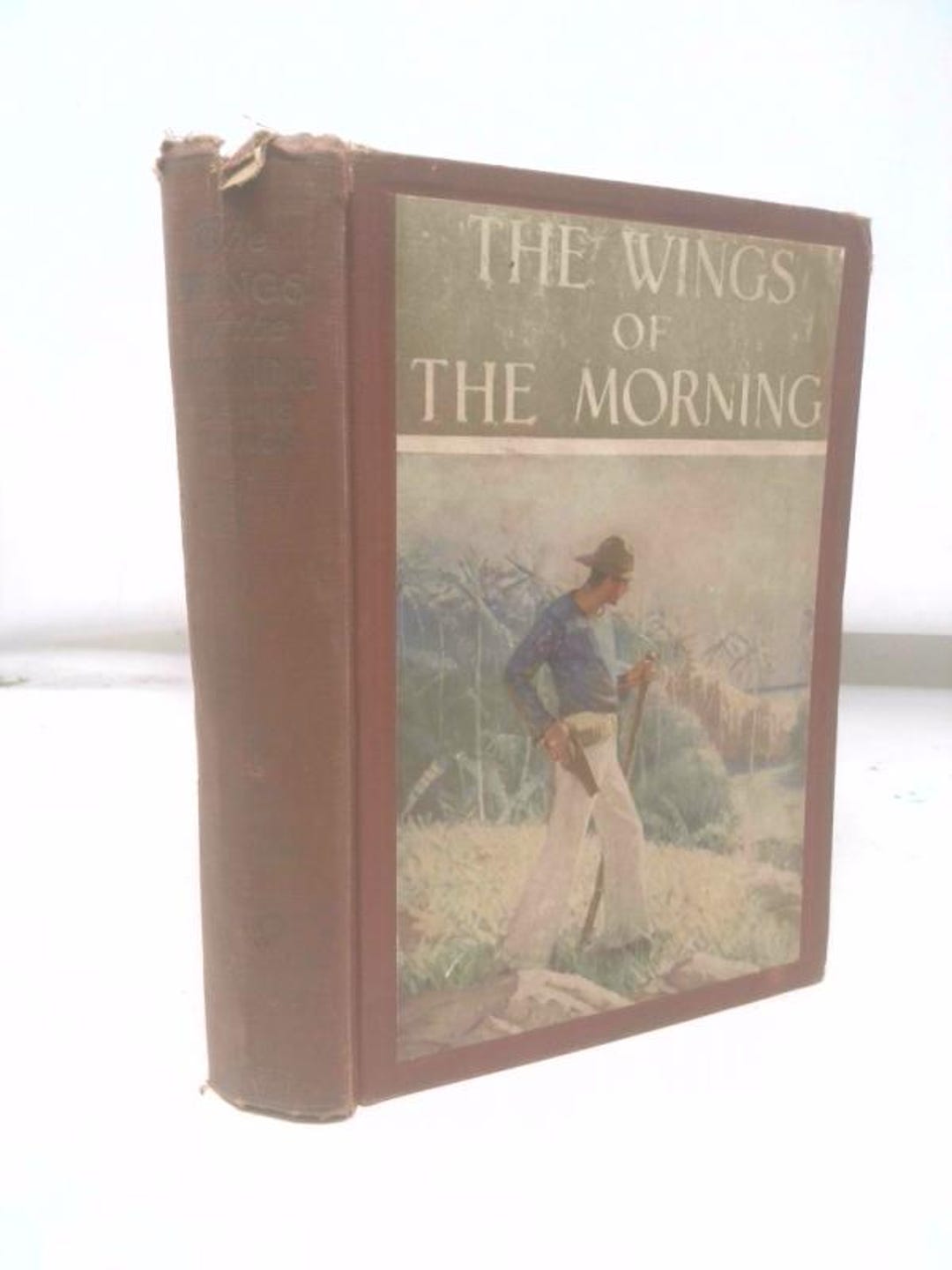 Louis Tracy the Wings of the Morning Mead Schaeffer John Winston Co ...