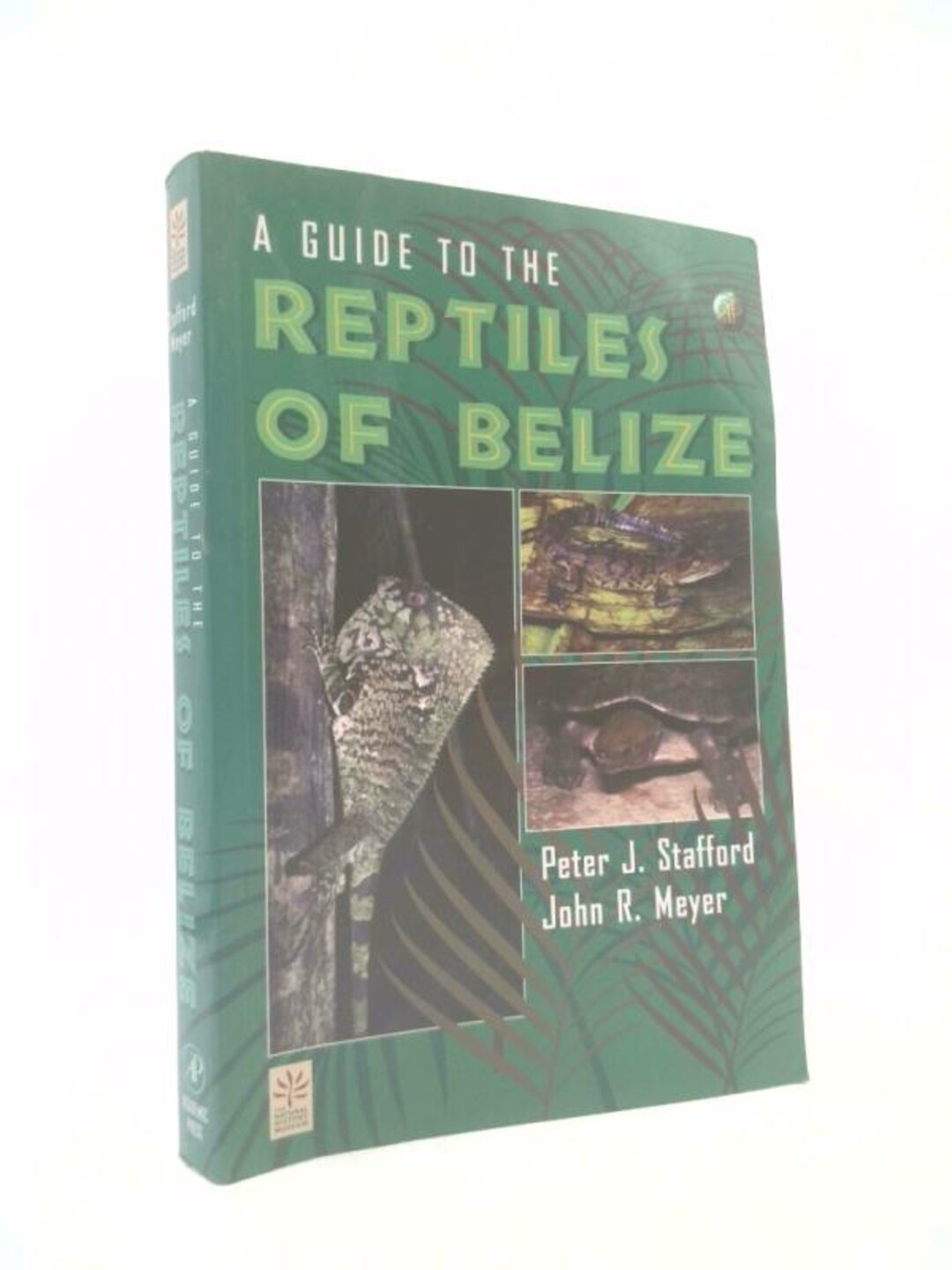 A Guide to the Reptiles of Belize by Peter J. Stafford - Etsy