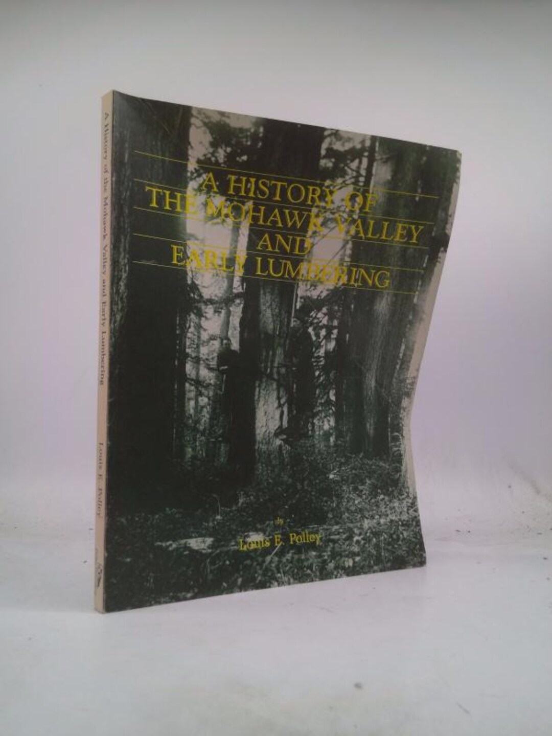 A History of the Mohawk Valley and Early Lumbering by Louis E Polley - Etsy