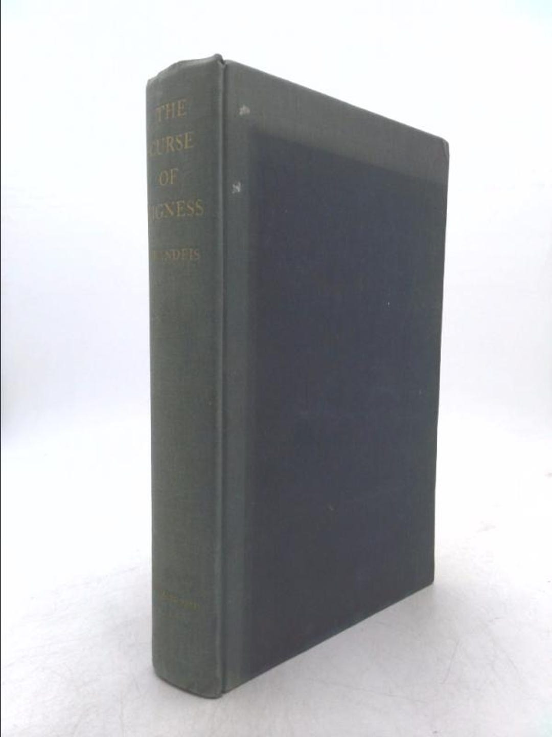 The Curse of Bigness: Miscellaneous Papers by Unknown Author - Etsy