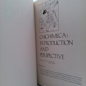 North American Indians: an Introduction to the Chichimeca by George ...