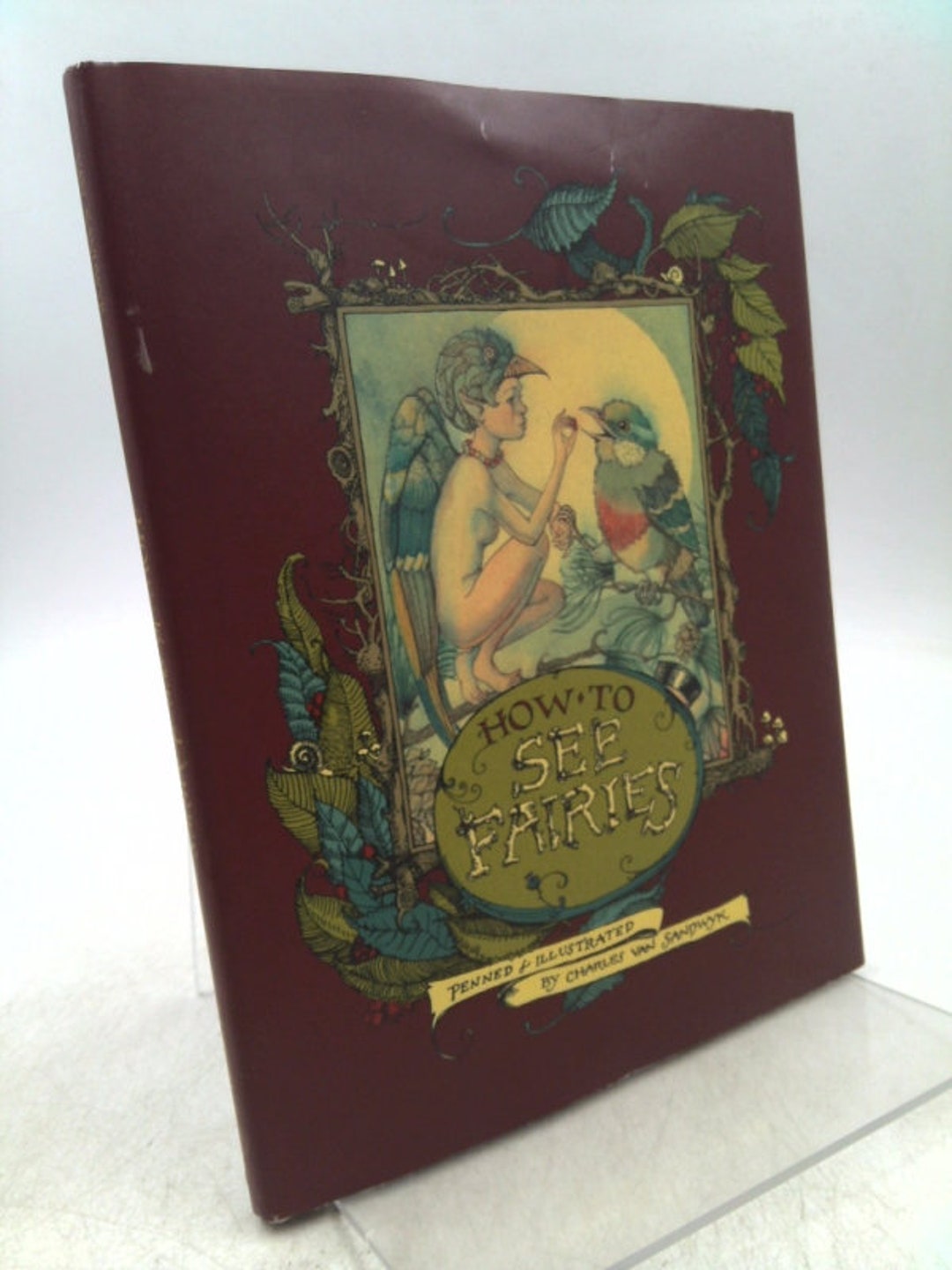 How to See Fairies by Charles Van Sandwyk - Etsy