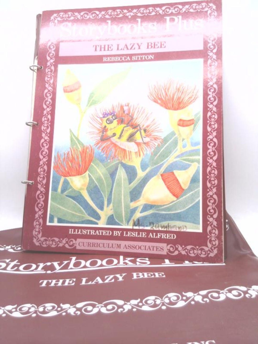 The Lazy Bee (storybooks Plus) by Rebecca Sitton - Etsy