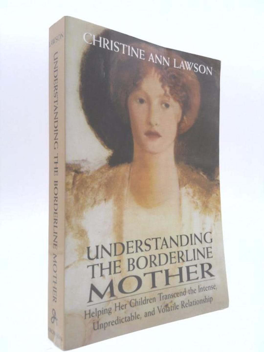 Understanding the Borderline Mother: Helping Her Children Transcend the ...