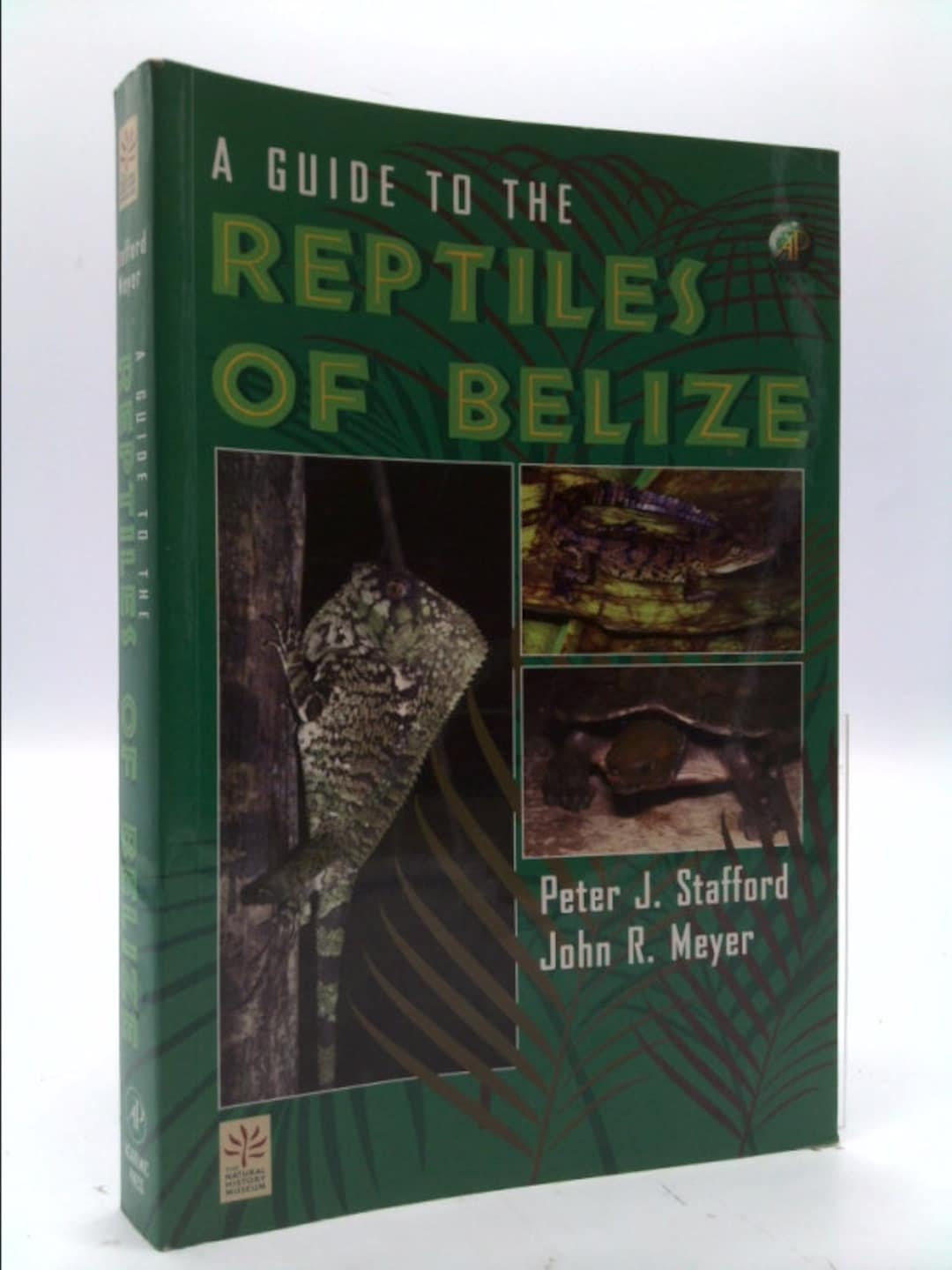 A Guide to the Reptiles of Belize by Peter J. Stafford - Etsy