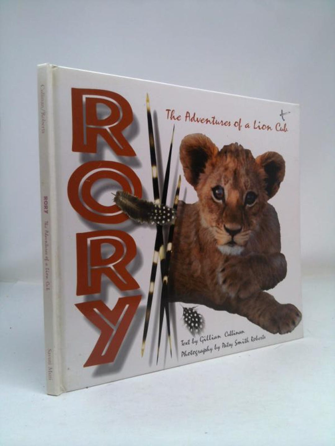 Rory the Adventures of a Lion Cub by Gillian Cullinan - Etsy