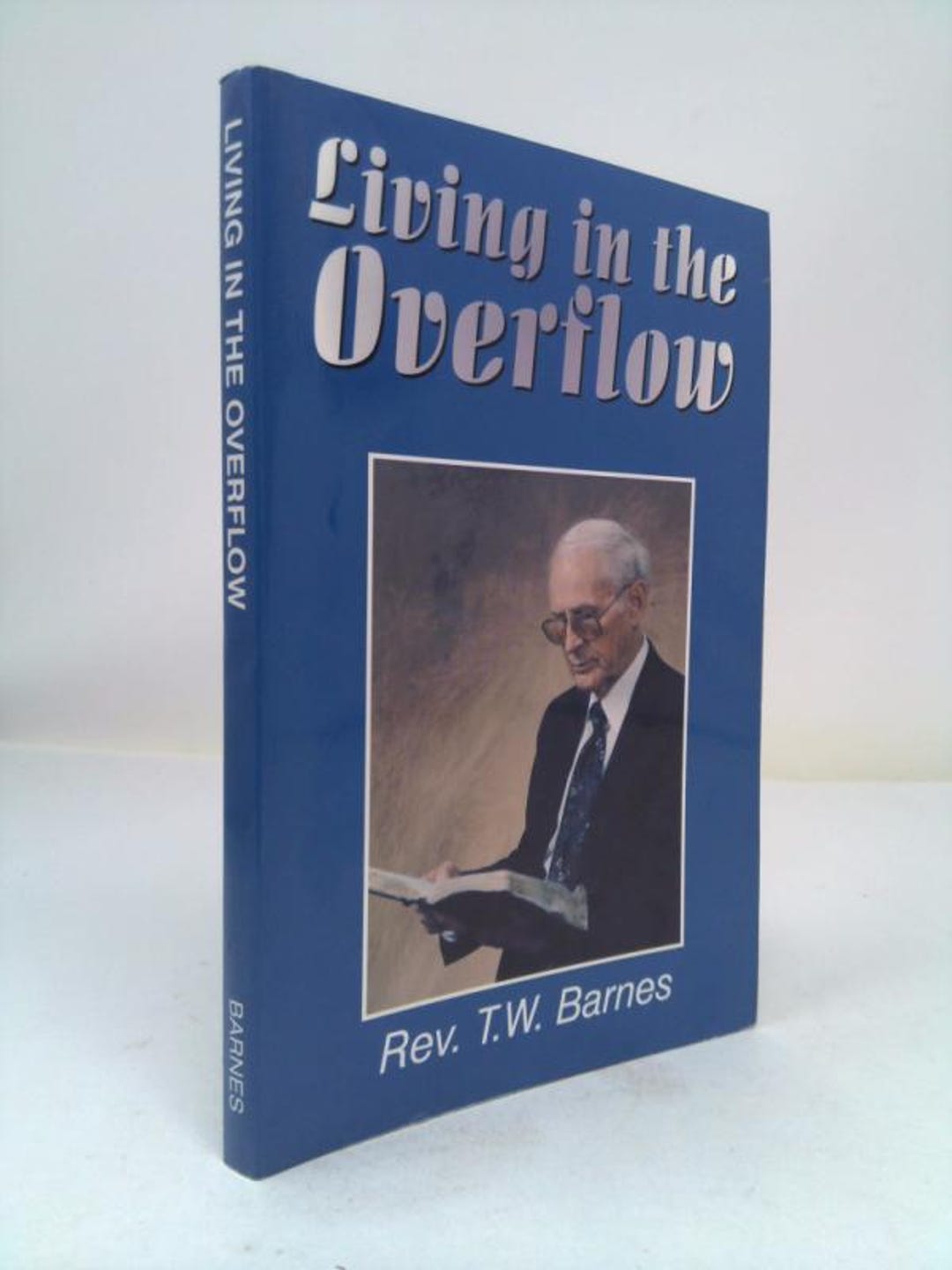 Living in the Overflow by Barnes T.W. - Etsy