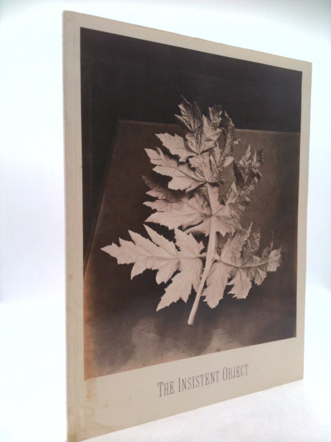 The Insistent Object: Photographs, 1845-1986 - Etsy