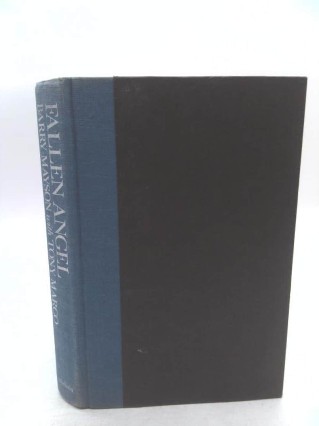 Fallen Angel: From Hell's Angel to Heaven's Saint by Barry Mayson - Etsy