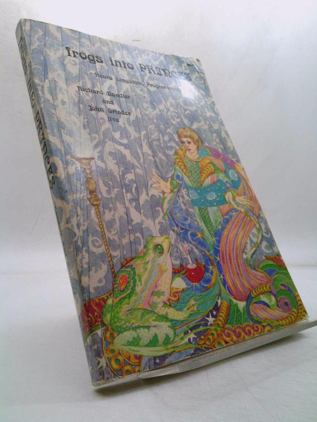 Frogs Into Princess By Richard Bandler Etsy