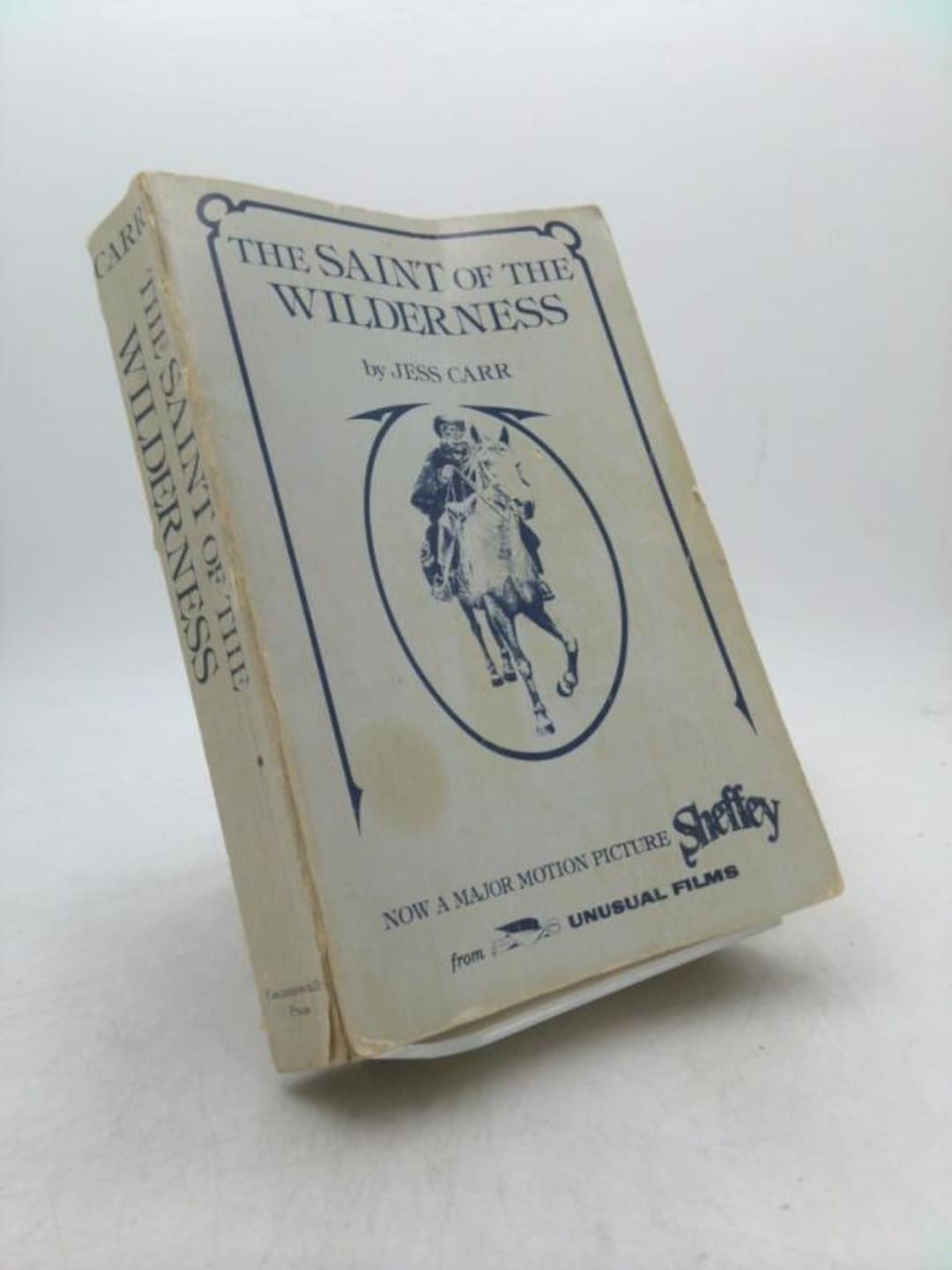 The Saint of the Wilderness: A Biographical Novel Depicting the Life and Work of Robert Sayers ...