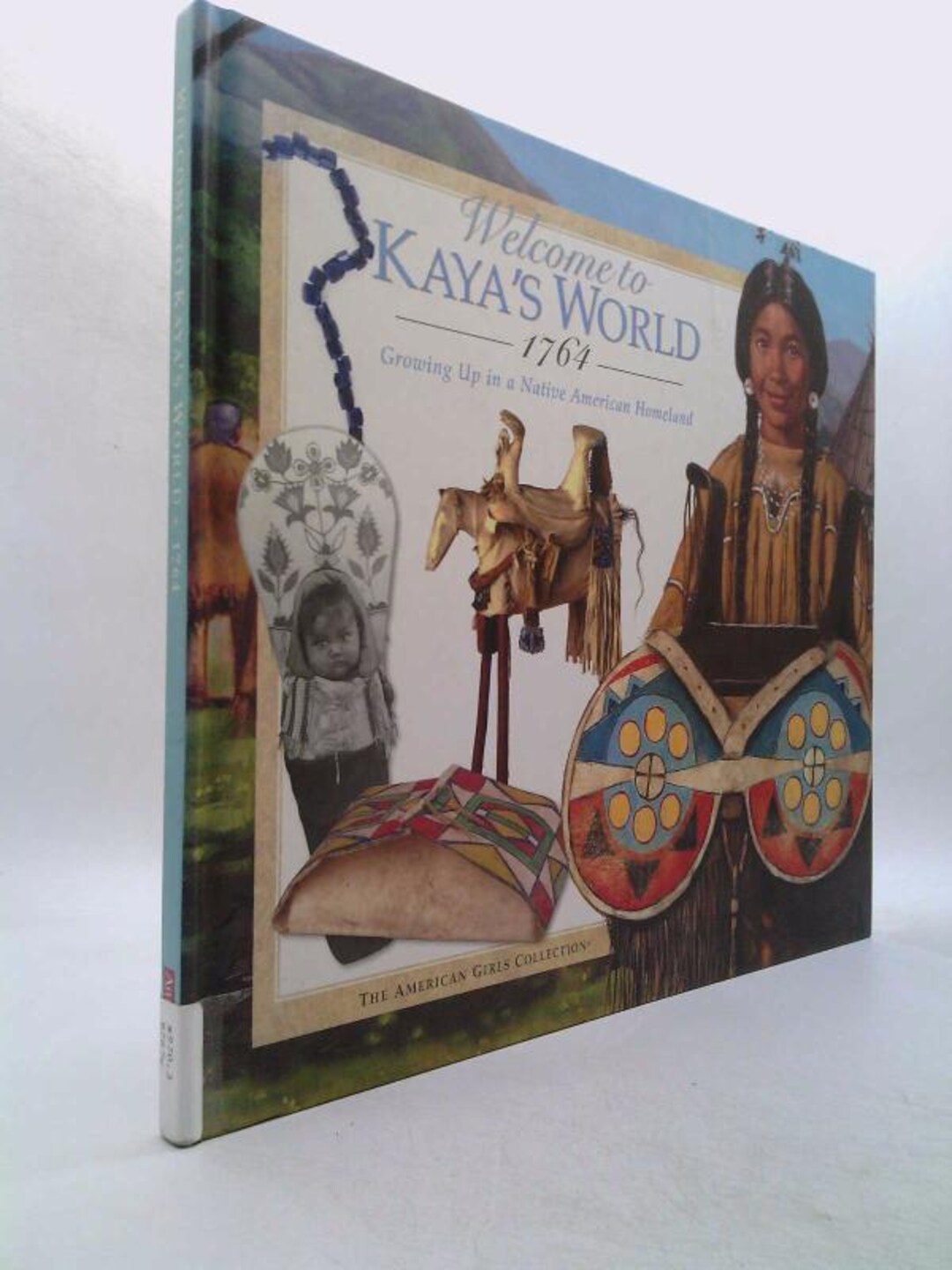 Welcome to Kaya's World, 1764: Growing up in a Native American Homeland ...