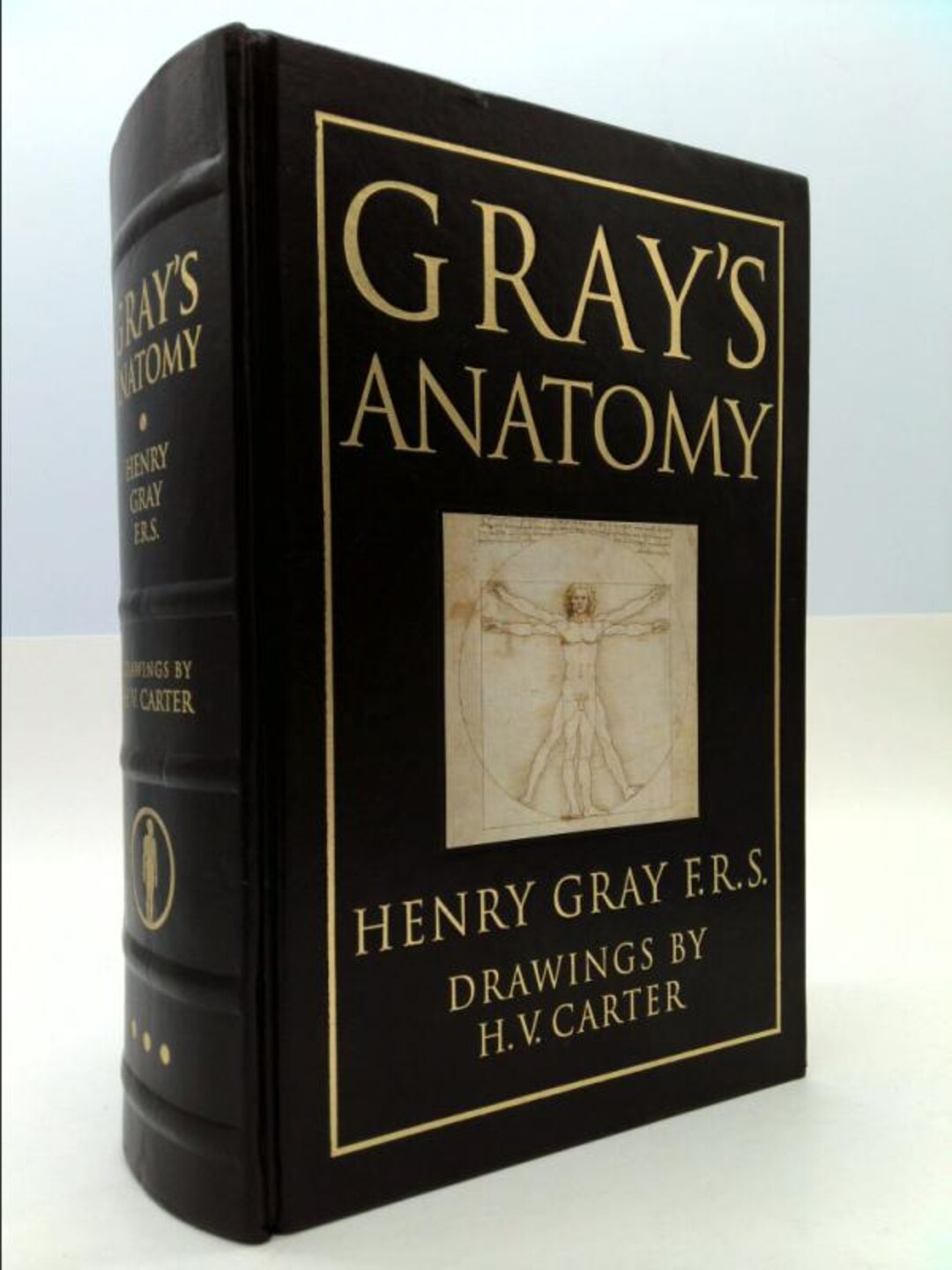 Gray's Anatomy by Henry and H.V. Carter Gray - Etsy